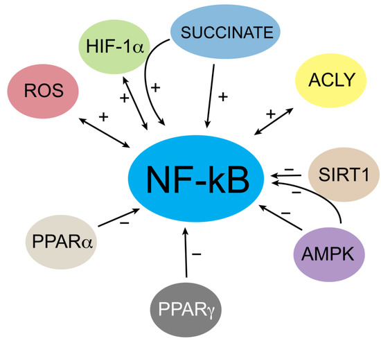 New Insights into NF-κB Signaling in Innate Immunity: Focus on ...