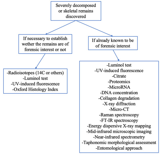 Estimation of Late Postmortem Interval: Where Do We Stand? A Literature ...