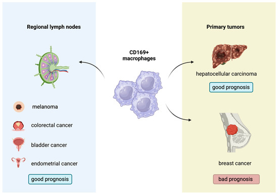 Biology | Free Full-Text | Unraveling the Immune Microenvironment in ...