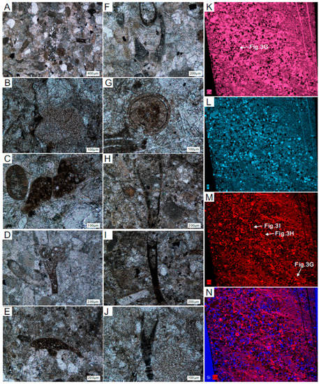 First Report of Small Skeletal Fossils from the Upper Guojiaba ...