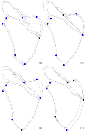 Secular Trends in the Size and Shape of the Scapula among the ...