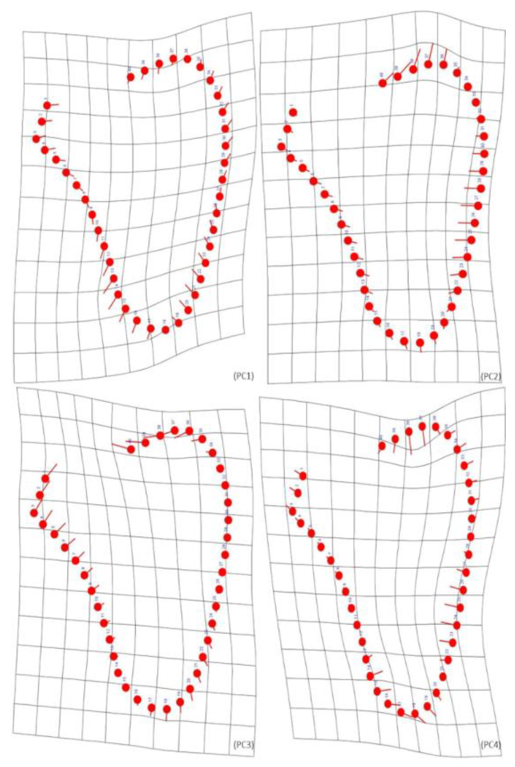 Secular Trends in the Size and Shape of the Scapula among the ...