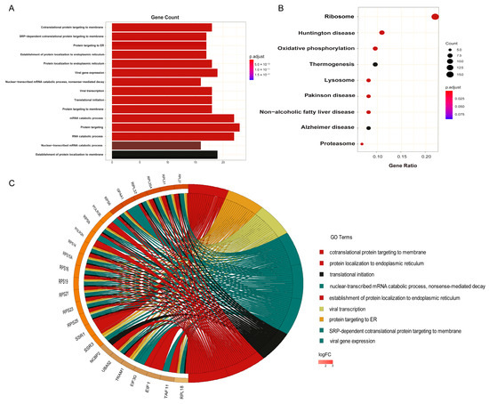 Identifying the Common Cell-Free DNA Biomarkers across Seven Major ...