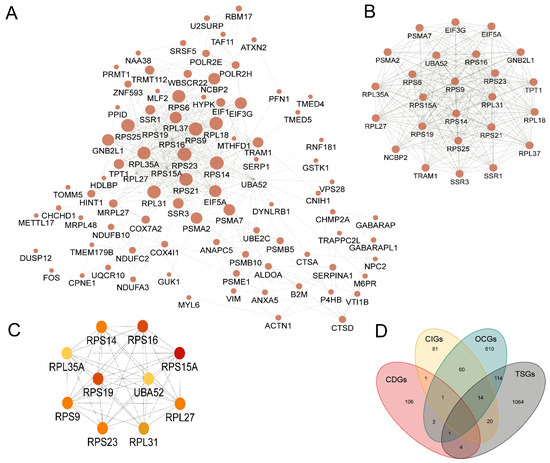 Identifying the Common Cell-Free DNA Biomarkers across Seven Major ...