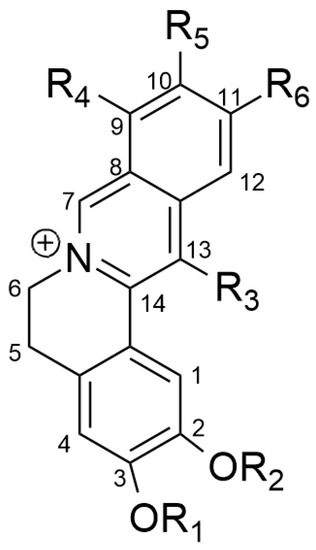 Berberine and Its Study as an Antidiabetic Compound