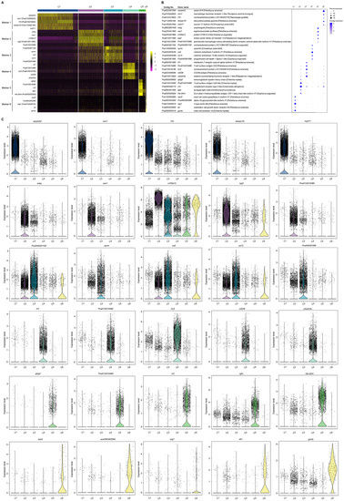 Single-Cell Atlas Reveals the Hemocyte Subpopulations and Stress ...