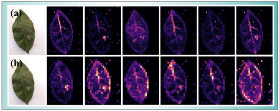 Study on the Tea Pest Classification Model Using a Convolutional and Embedded Iterative Region ...