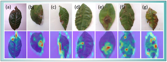 Study on the Tea Pest Classification Model Using a Convolutional and Embedded Iterative Region ...
