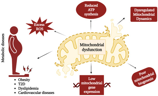 Biology | Free Full-Text | Peripheral Mitochondrial Dysfunction: A ...
