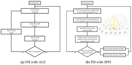 Modeling Dynamics Of The Cardiovascular System Using Fluid Structure Interaction Methods