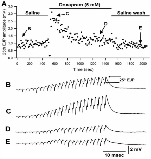 The Effects of Doxapram Blocking the Response of Gram-Negative ...