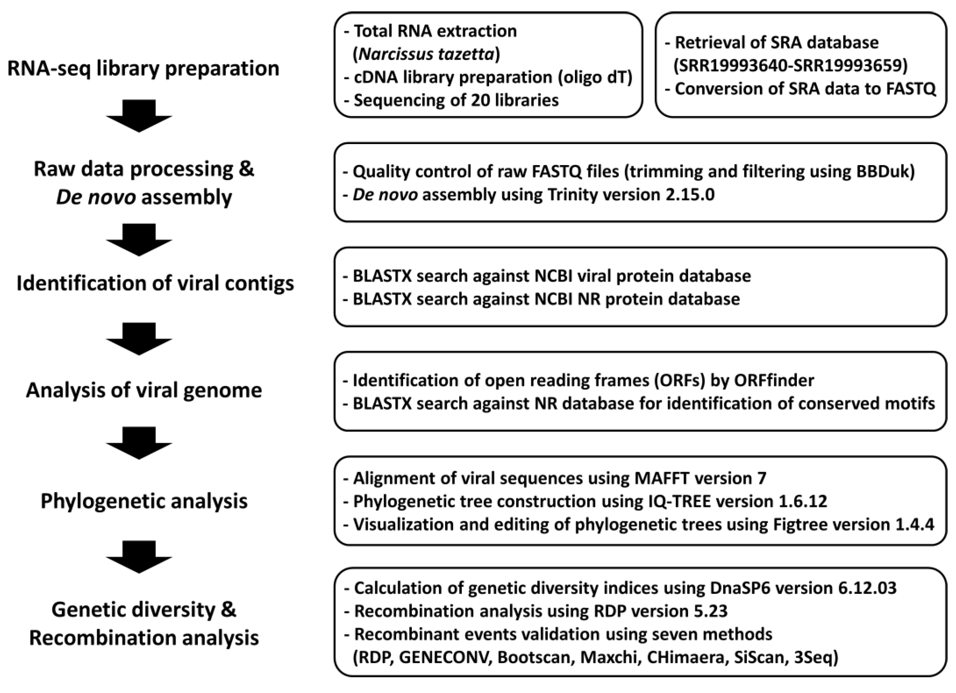 In Silico Virome Analysis of Chinese Narcissus Transcriptomes Reveals ...