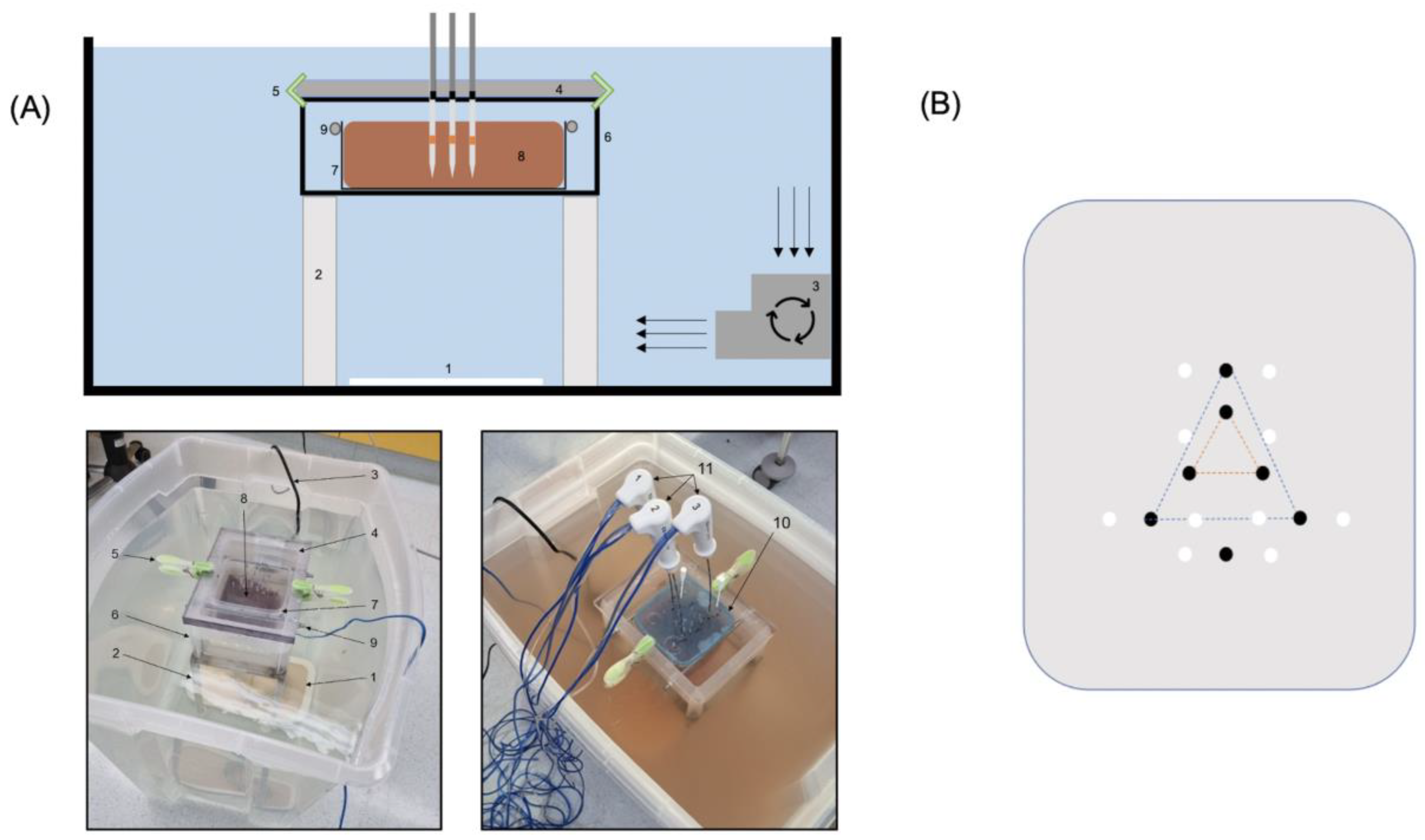 Multi-Probe RFA vs. Single-Probe MWA in an Ex Vivo Bovine Liver Model ...