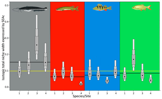 Trophic Position of the Species and Site Trophic State Affect Diet ...