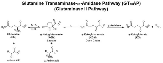 Metabolic Heterogeneity, Plasticity, and Adaptation to “Glutamine ...