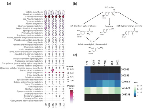 Bioactive Compounds with Pesticide Activities Derived from Aged ...
