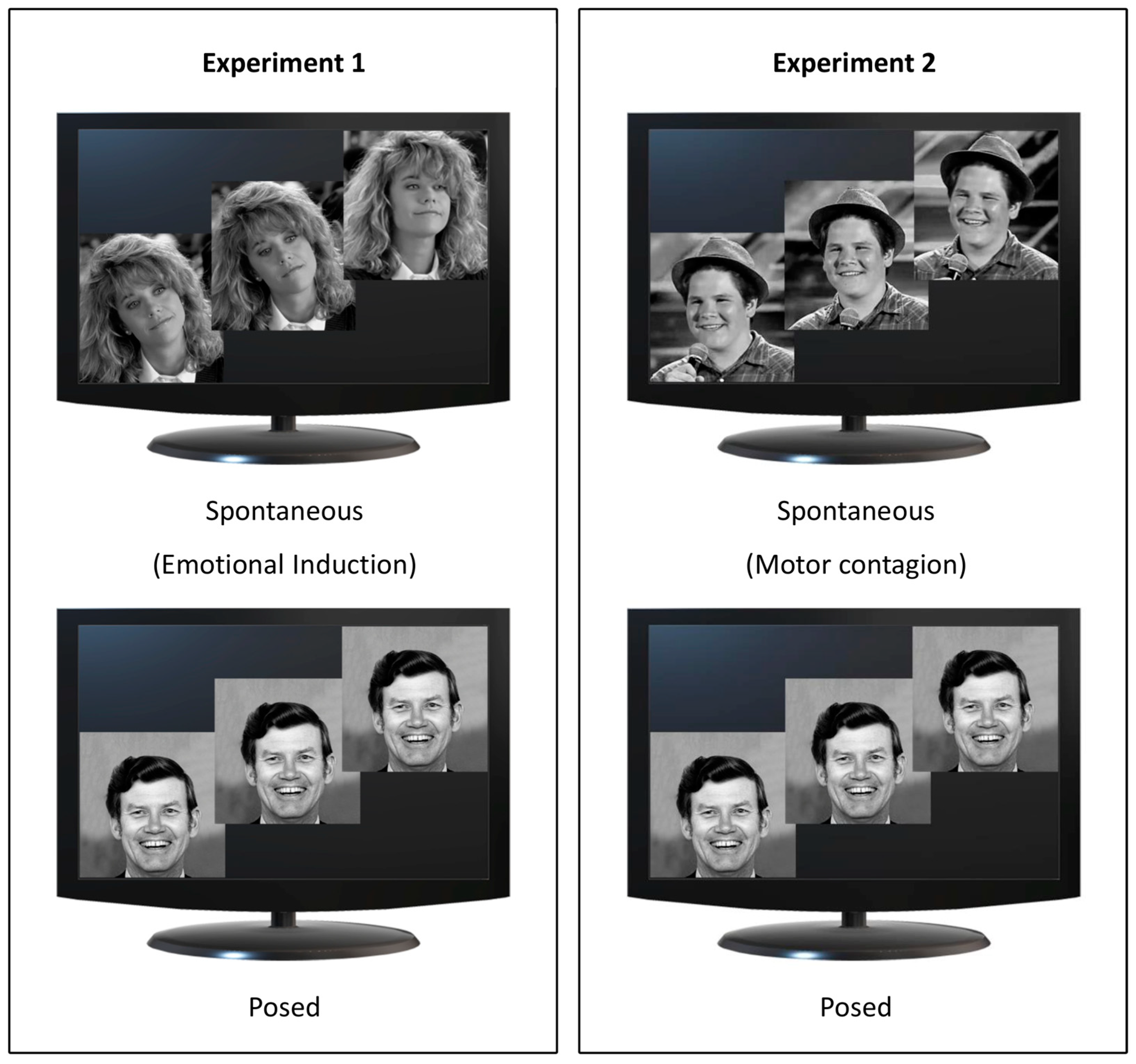 Biology | Free Full-Text | The Spatiotemporal Dynamics of Facial ...