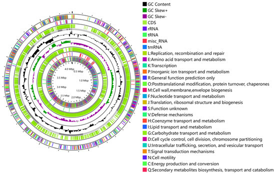 A Bacillus subtilis Strain ZJ20 with AFB1 Detoxification Ability: A ...