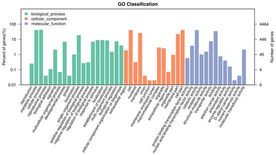 A Bacillus subtilis Strain ZJ20 with AFB1 Detoxification Ability: A ...