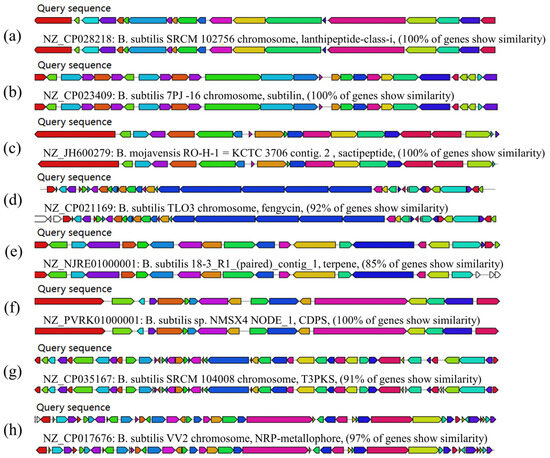 A Bacillus subtilis Strain ZJ20 with AFB1 Detoxification Ability: A ...