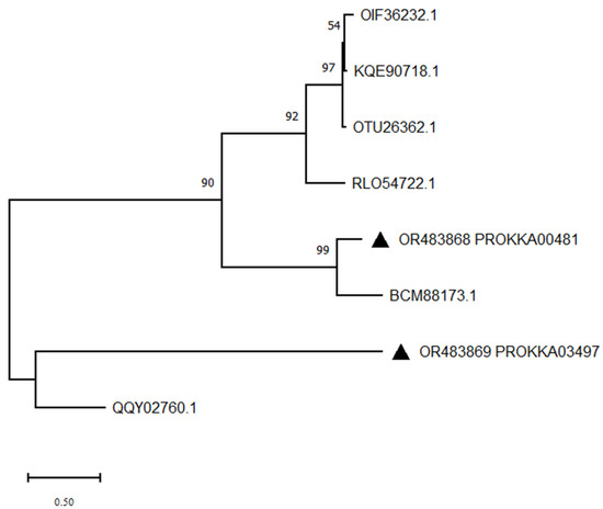A Bacillus subtilis Strain ZJ20 with AFB1 Detoxification Ability: A ...