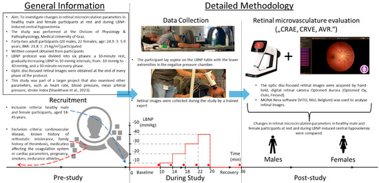Biology Free Full Text Sex Variations In Retinal Microcirculation