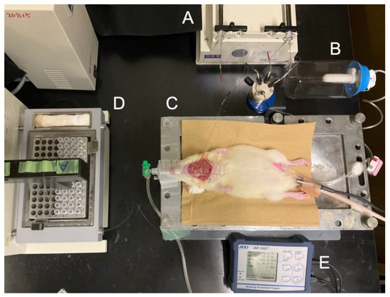 Biology | Free Full-Text | d-Serine Increases Release of Acetylcholine ...
