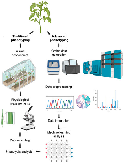 An Integrated Multi-Omics and Artificial Intelligence Framework for Advance Plant Phenotyping in ...