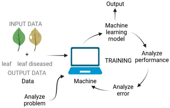 An Integrated Multi-Omics and Artificial Intelligence Framework for ...