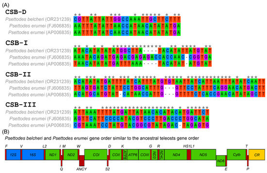 Insights into the Mitochondrial Genetic Makeup and Miocene Colonization ...