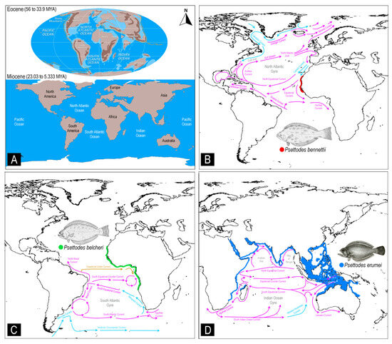 Insights into the Mitochondrial Genetic Makeup and Miocene Colonization ...