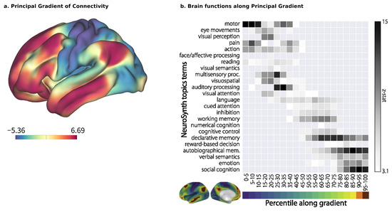 Evaluation of the Hierarchical Correspondence between the Human Brain ...