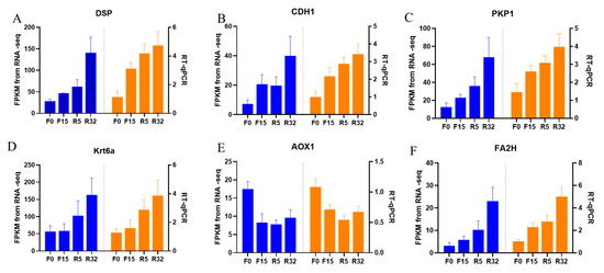 Multi-Stage Transcriptome Analysis Revealed the Growth Mechanism of ...
