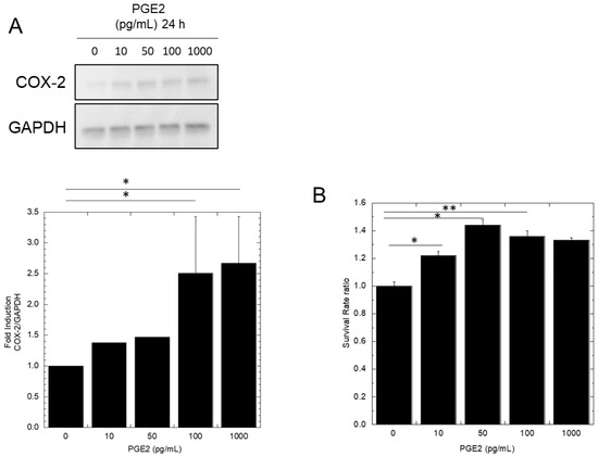 The COX-2/PGE2 Response Pathway Upregulates Radioresistance in A549 ...