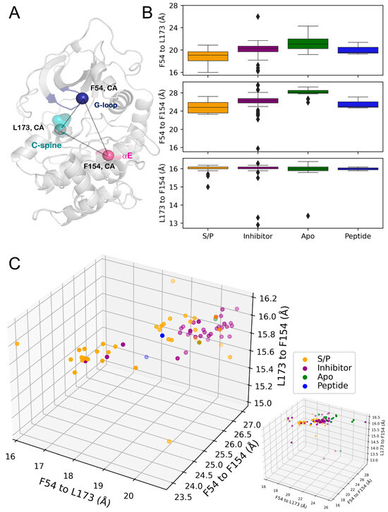 Crystal Structures Reveal Hidden Domain Mechanics in Protein Kinase A (PKA)