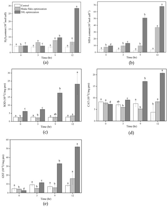 Pilot-Scale Fermentation of Pseudoalteromonas sp. Strain FDHY-MZ2: An ...