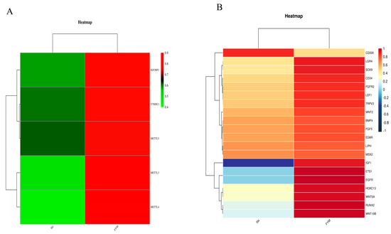 Identification of N6-Methyladenosine-Related Factors and the Prediction ...