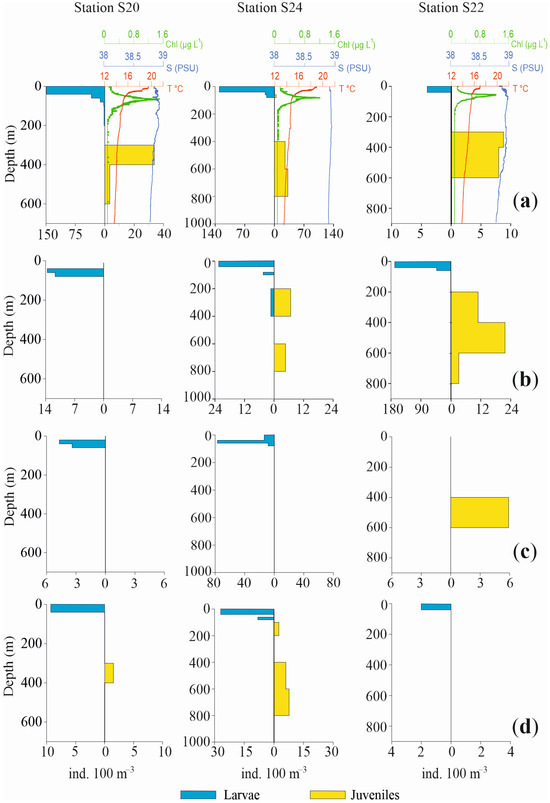 Assemblage Structure of Ichthyoplankton Communities in the Southern ...