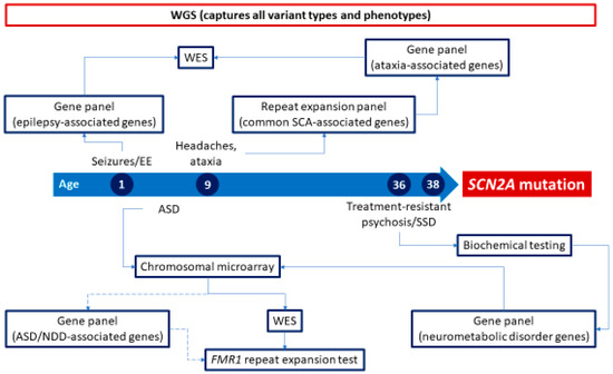 The Diagnostic Landscape of Adult Neurogenetic Disorders