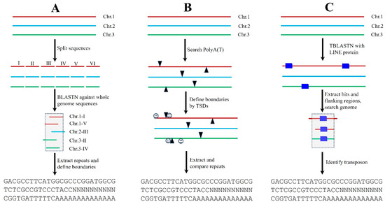 Introduction of Plant Transposon Annotation for Beginners