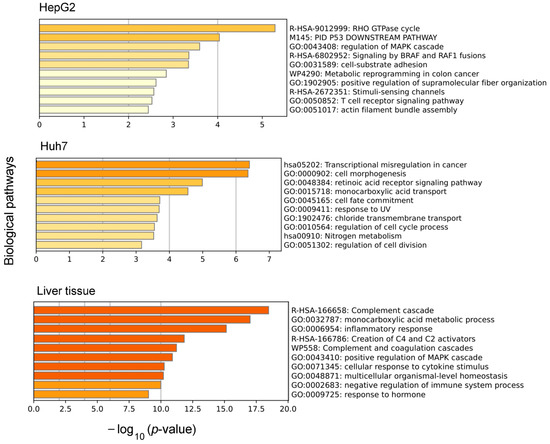 Comparison of Alternative Splicing Landscapes Revealed by Long-Read ...