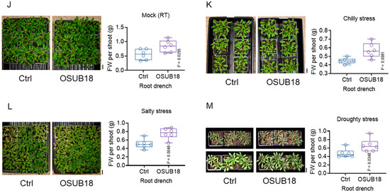 Biology | Free Full-Text | Plant Growth Promotion and Stress Tolerance ...