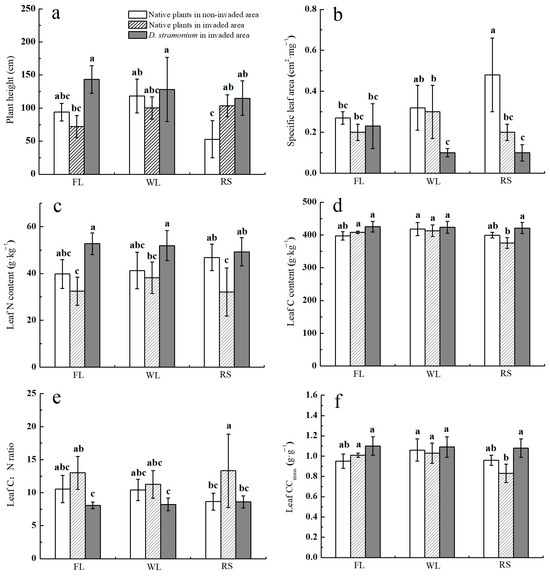 Effects of Datura stramonium L. Invasion into Different Habitats on ...