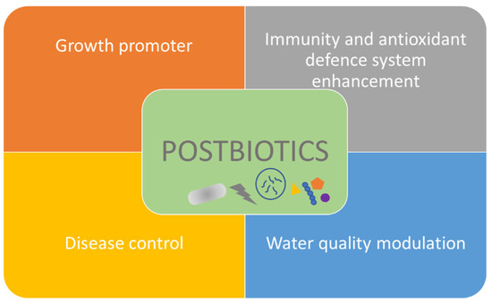 Synbiotic Agents and Their Active Components for Sustainable ...