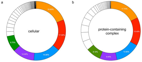 Biology | Free Full-Text | Proteome Profiling of Brain Vessels in a ...