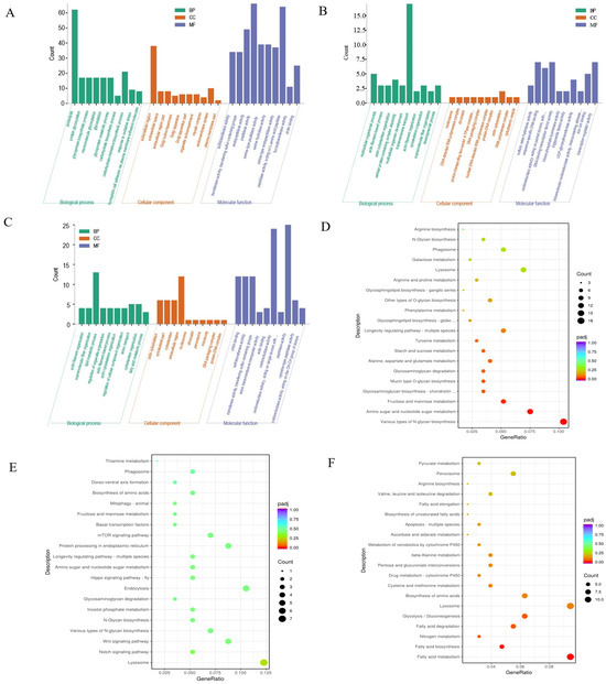Integrated Analysis of the Intestinal Microbiota and Transcriptome of ...
