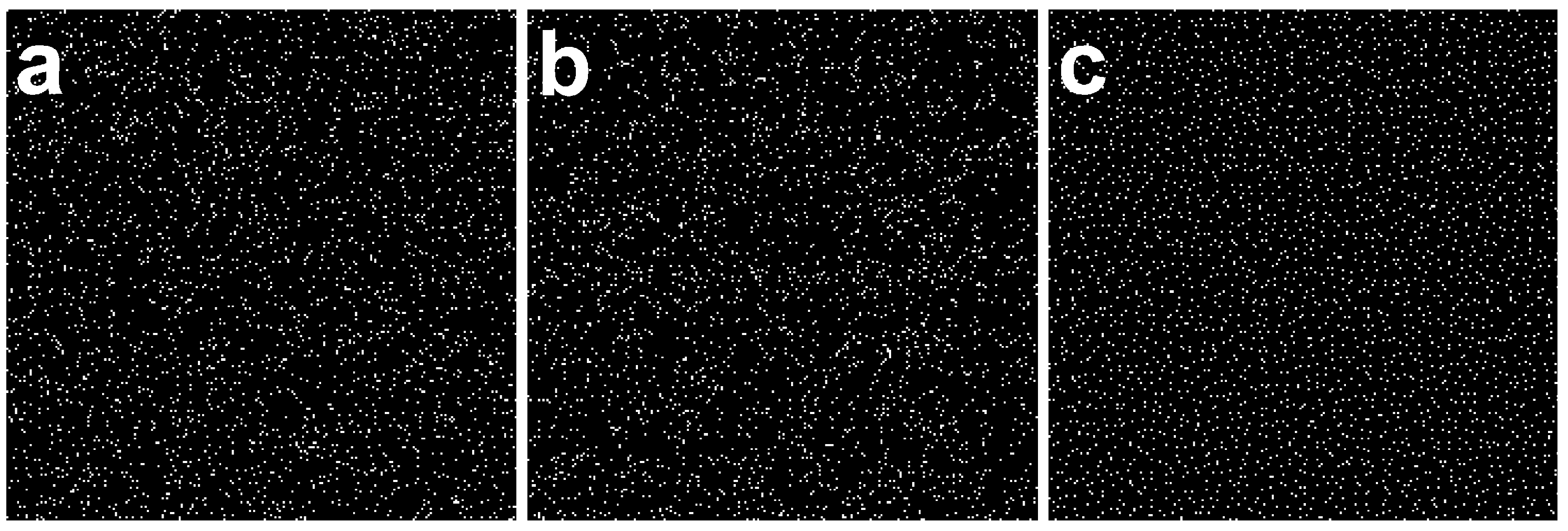 A Method to Locally Irradiate Specific Organ in Model Organisms Using a ...