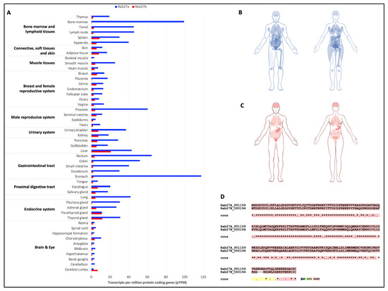 Biology | Free Full-Text | Vesicular Trafficking, a Mechanism ...