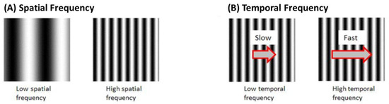 Zebrafish Optokinetic Reflex: Minimal Reporting Guidelines and ...