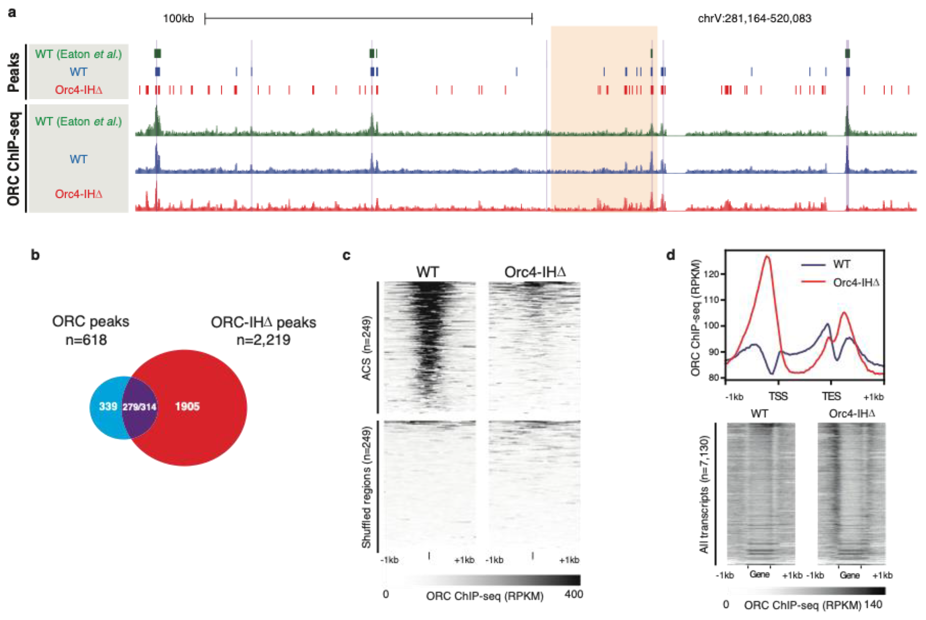 The Origin Recognition Complex: From Origin Selection to Replication ...